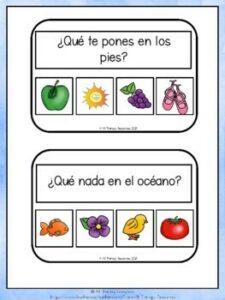 SPANISH VERSION - Wh What Question Task Cards | Made By Teachers