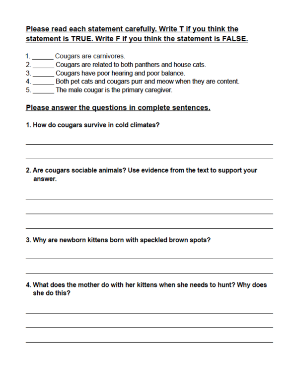 Read and Respond Activity Pack - Grade 5 Journeys: - Made By Teachers