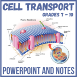 Cell Transport Powerpoint and Student Notes - Made By Teachers