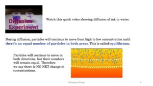 Cell Transport Powerpoint and Student Notes - Made By Teachers