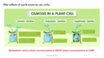 Cell Transport Powerpoint and Student Notes - Made By Teachers