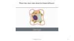 Cell Transport Powerpoint and Student Notes - Made By Teachers