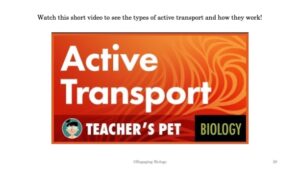 Cell Transport Powerpoint and Student Notes - Made By Teachers