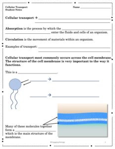 Cell Transport Powerpoint and Student Notes - Made By Teachers