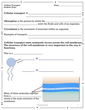 Cell Transport Powerpoint and Student Notes - Made By Teachers