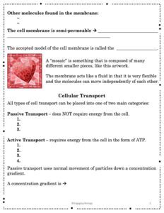 Cell Transport Powerpoint and Student Notes - Made By Teachers