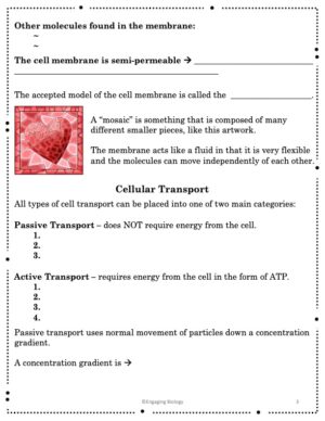 Cell Transport Powerpoint and Student Notes - Made By Teachers