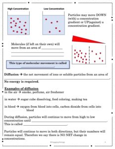 Cell Transport Powerpoint and Student Notes - Made By Teachers
