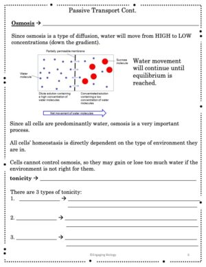 Cell Transport Powerpoint and Student Notes - Made By Teachers