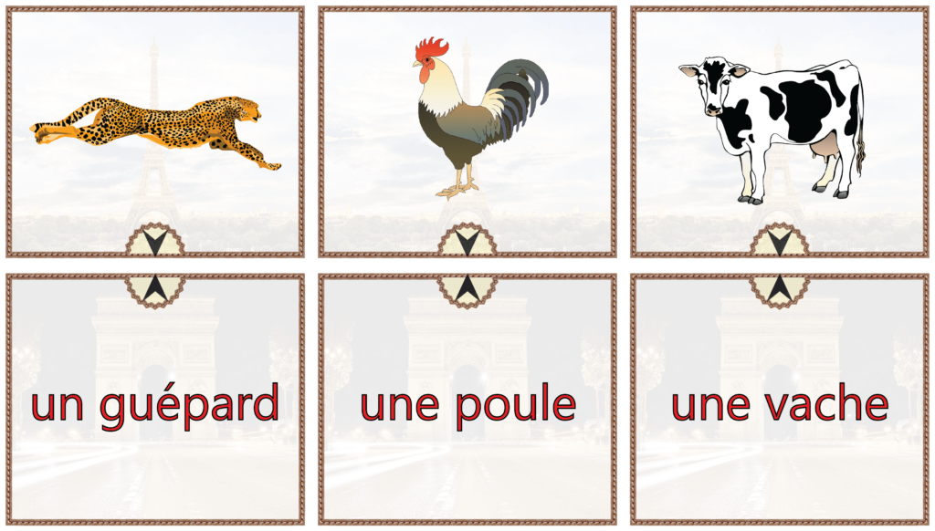 French Match - Animals | Made By Teachers