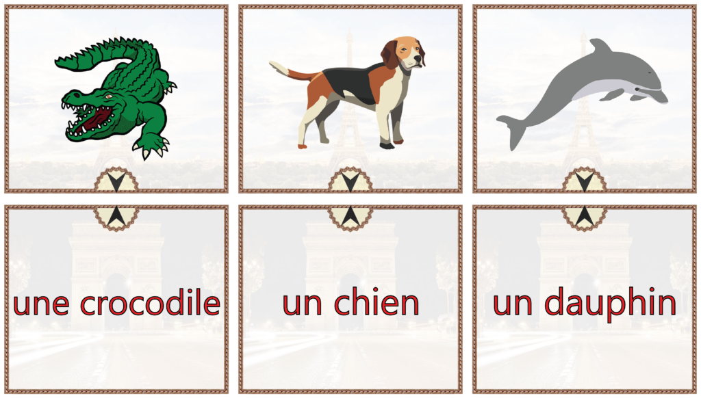 French Match - Animals | Made By Teachers