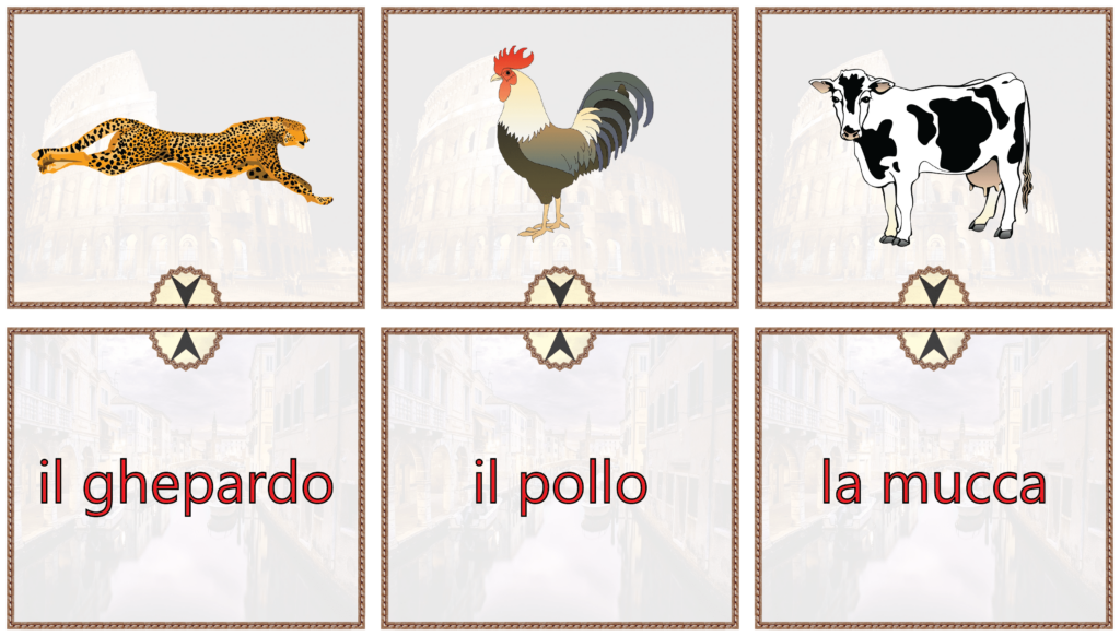 Italian Match - Animals | Made By Teachers