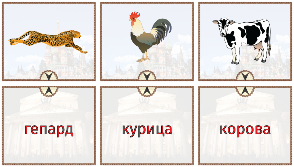 Russian Match - Animals | Made By Teachers
