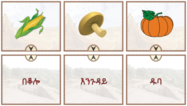 Amharic Match - Fruits and Vegetables | Made By Teachers