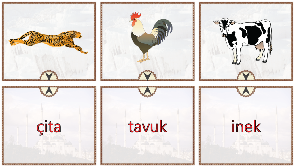 Turkish Match - Animals | Made By Teachers
