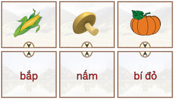 Vietnamese Match - Fruits and Vegetables | Made By Teachers