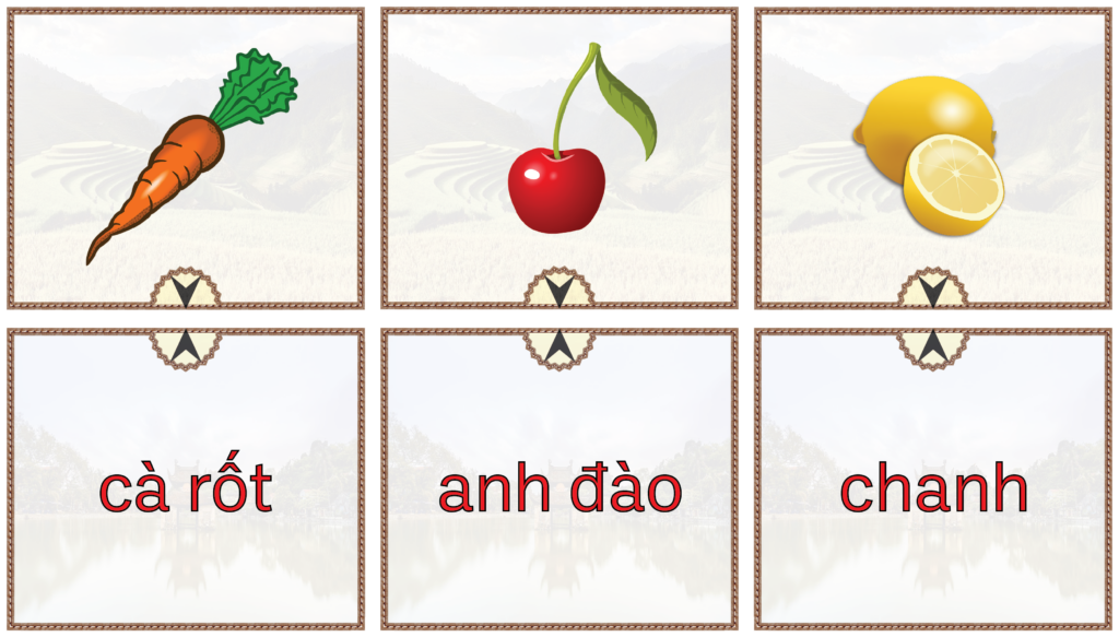 Vietnamese Match - Fruits and Vegetables - Made By Teachers
