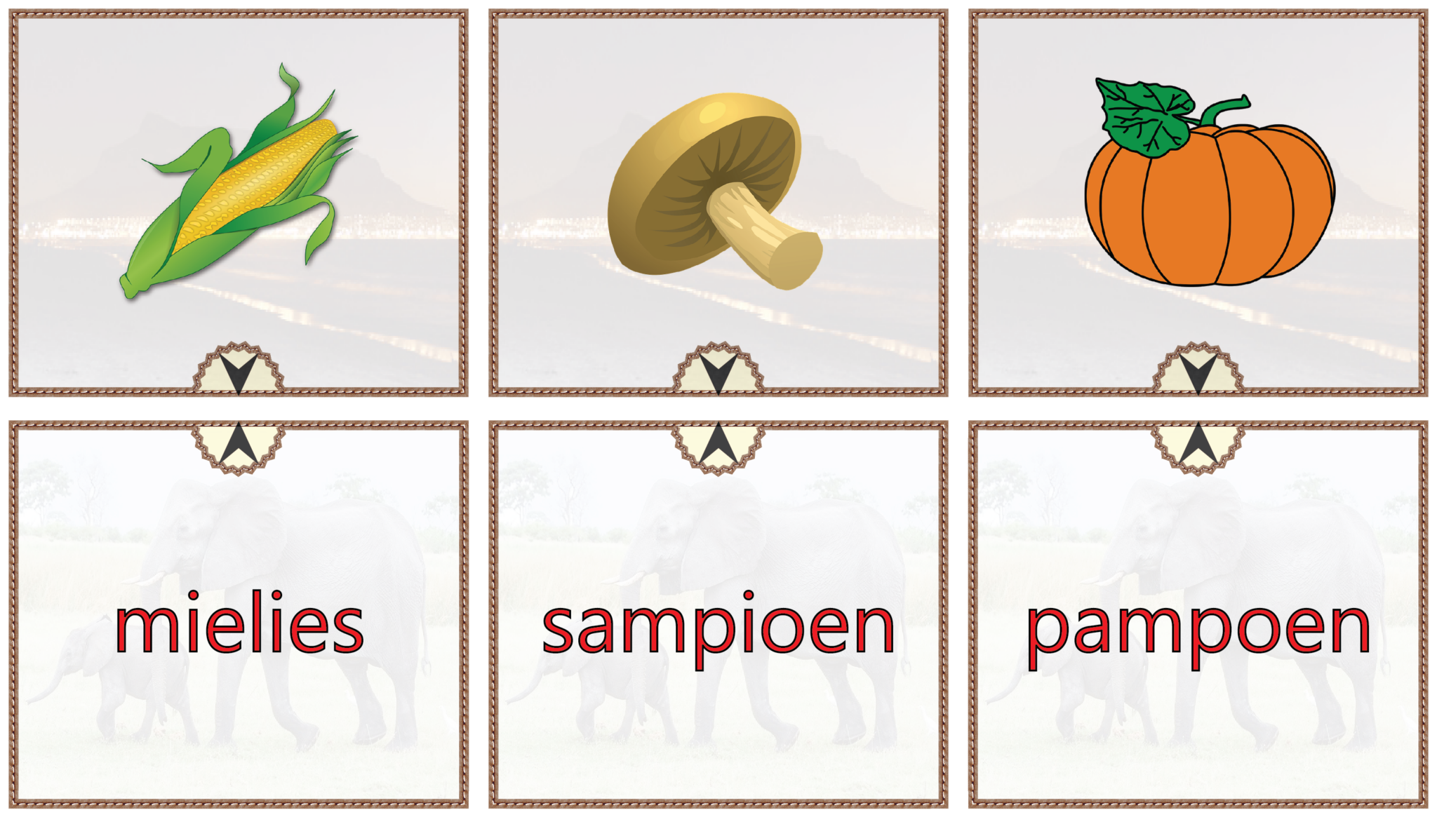 Afrikaans Match - Fruits and Vegetables | Made By Teachers