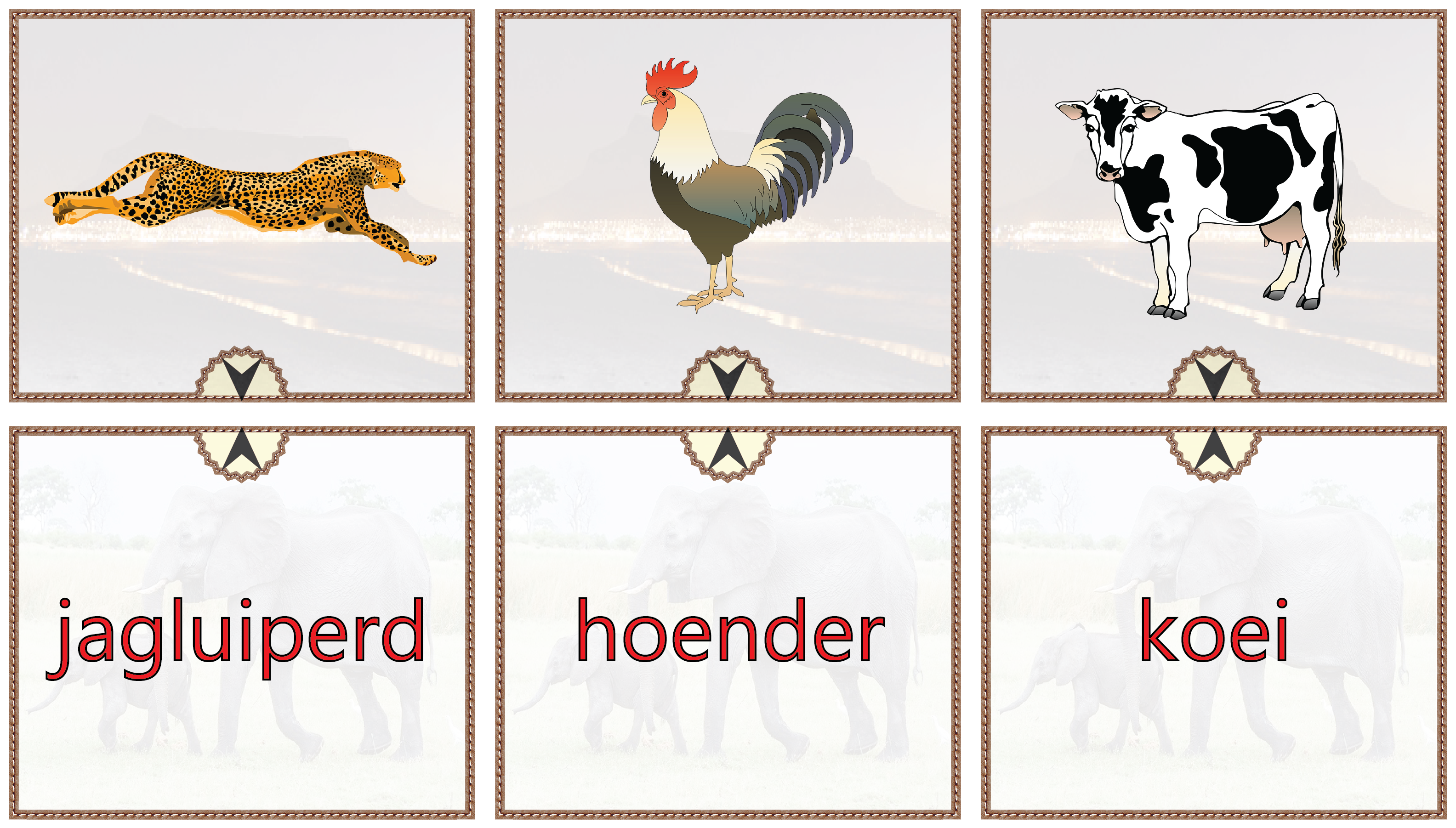 Afrikaans Match - Animals - Made By Teachers