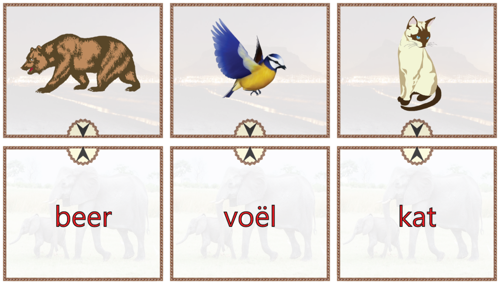 Afrikaans Vocabulary Match Bundle | Made By Teachers