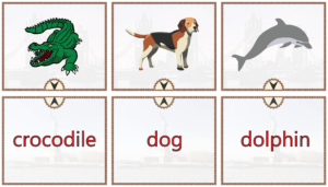 English Match - Animals - Made By Teachers