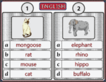 English - Basic Vocabulary Bundle - Made By Teachers