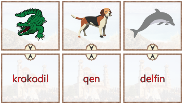 Albanian Match - Animals | Made By Teachers