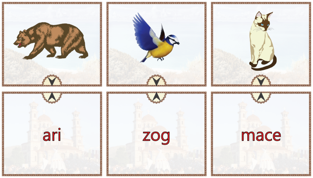 Albanian Vocabulary Match Bundle | Made By Teachers