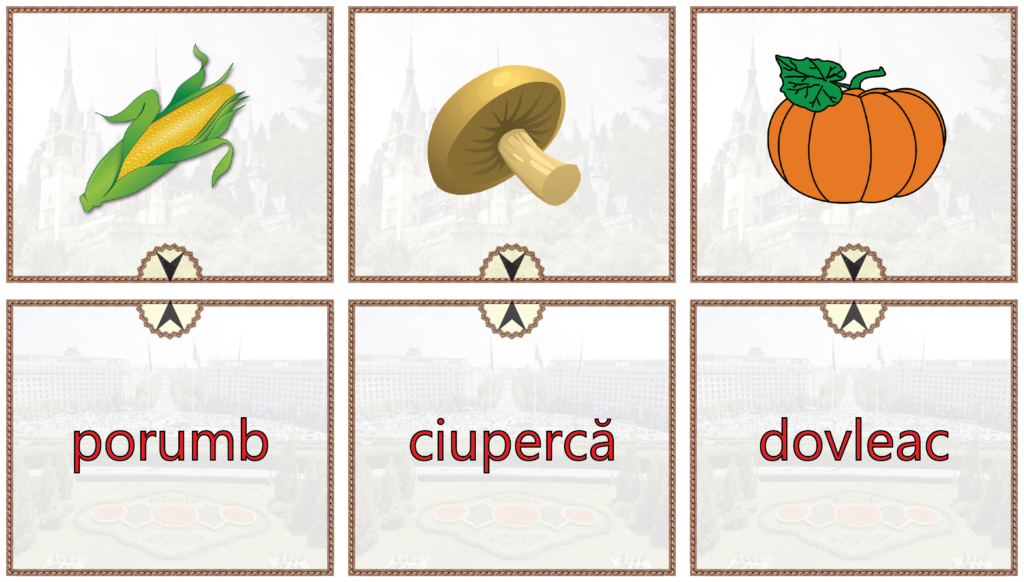 Romanian Match - Fruits and Vegetables - Made By Teachers