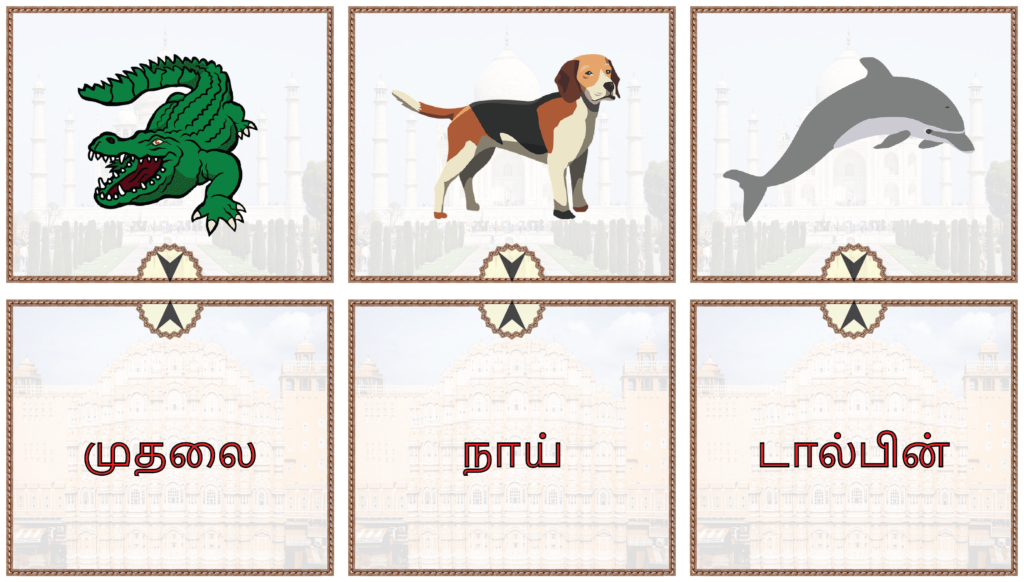 Tamil Match - Animals | Made By Teachers