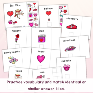 February Valentine's Day Adapted Books | Made By Teachers
