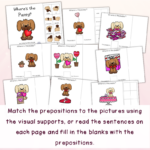 February Valentine's Day Adapted Books | Made By Teachers