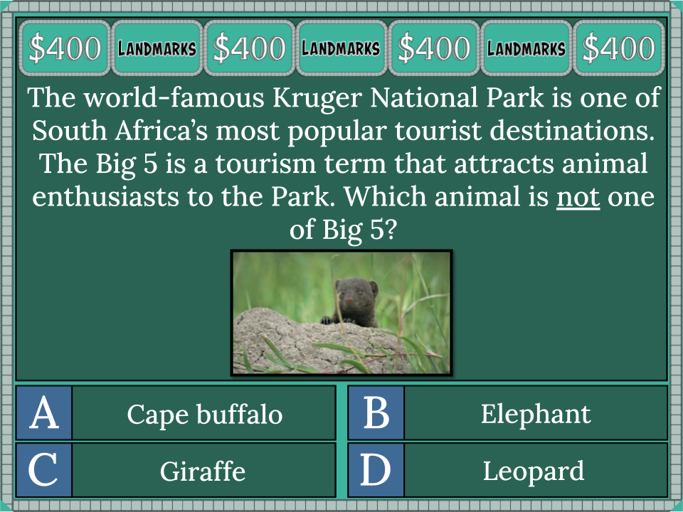 Country Quiz Task Cards - South Africa | Made By Teachers