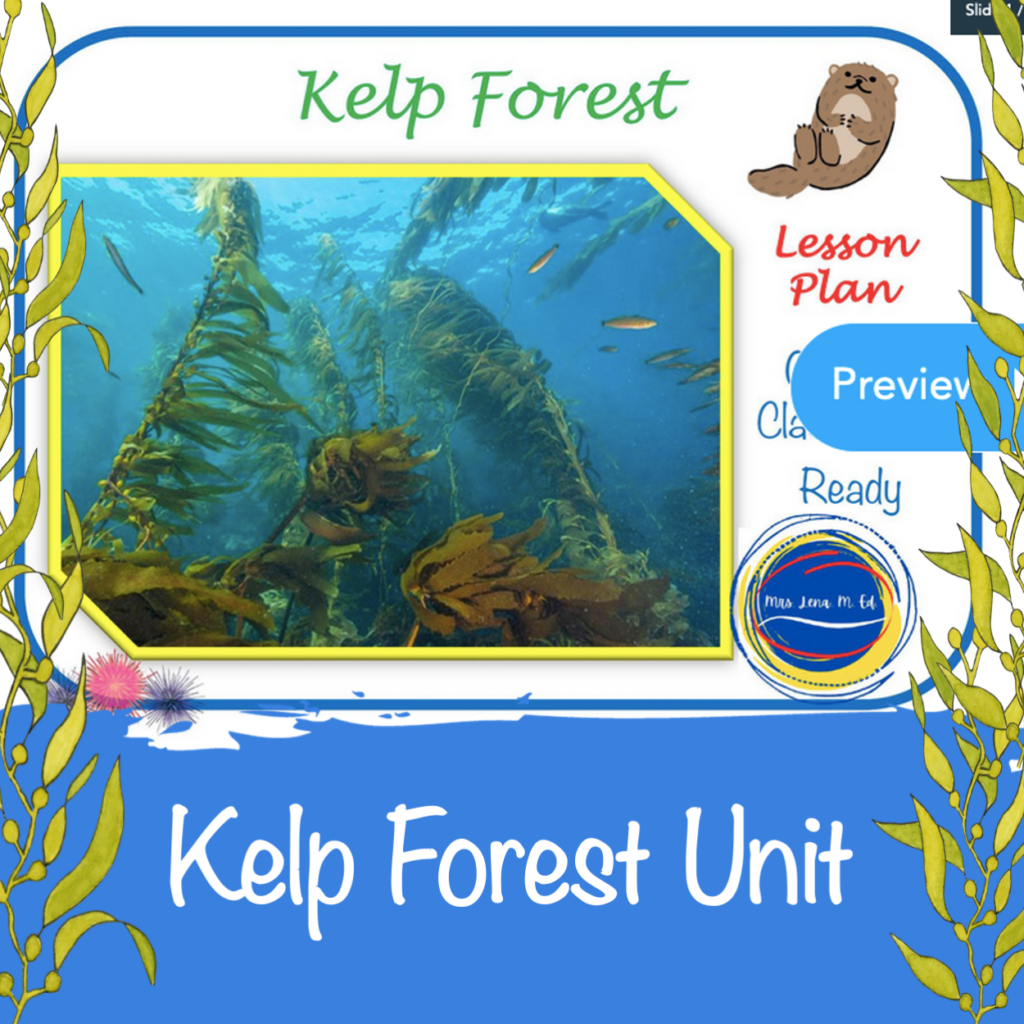 Kelp Forest Science Lesson Plan - Made By Teachers