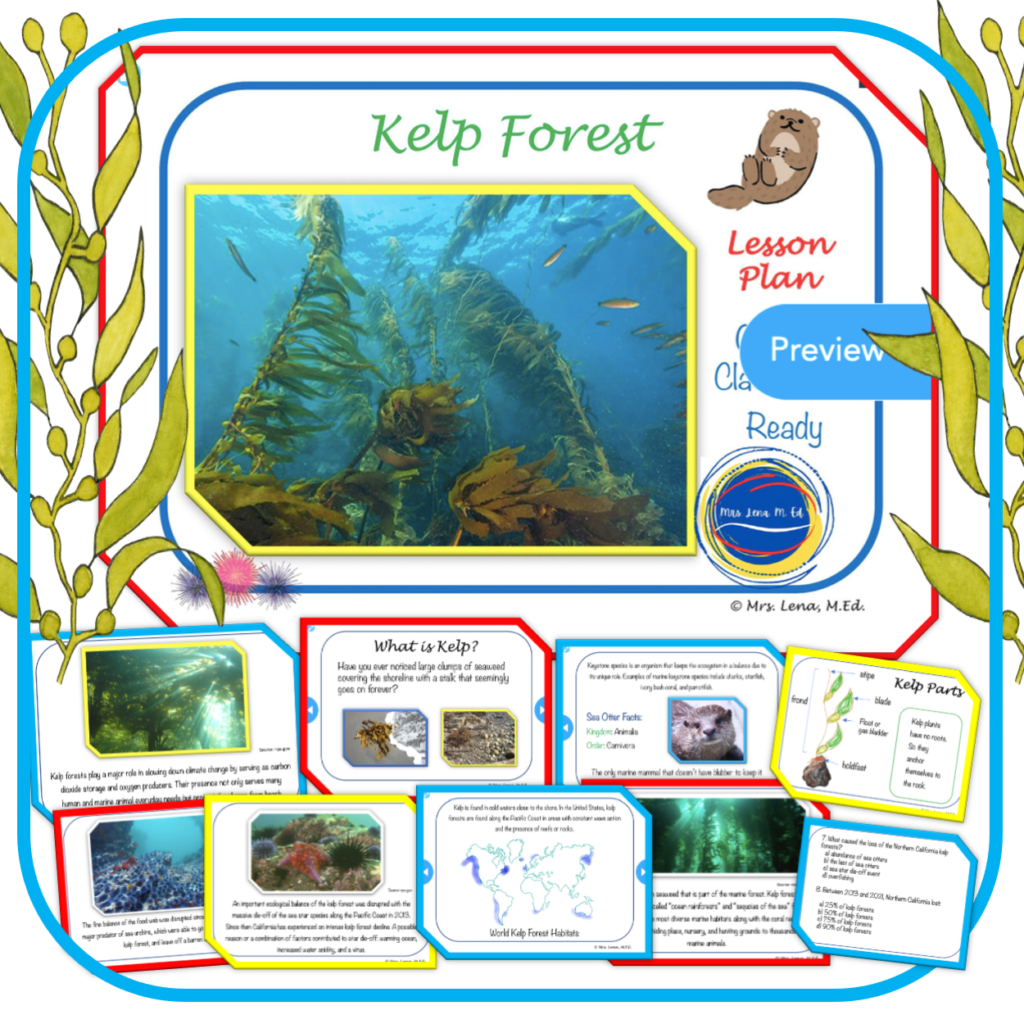 Kelp Forest Science Lesson Plan - Made By Teachers