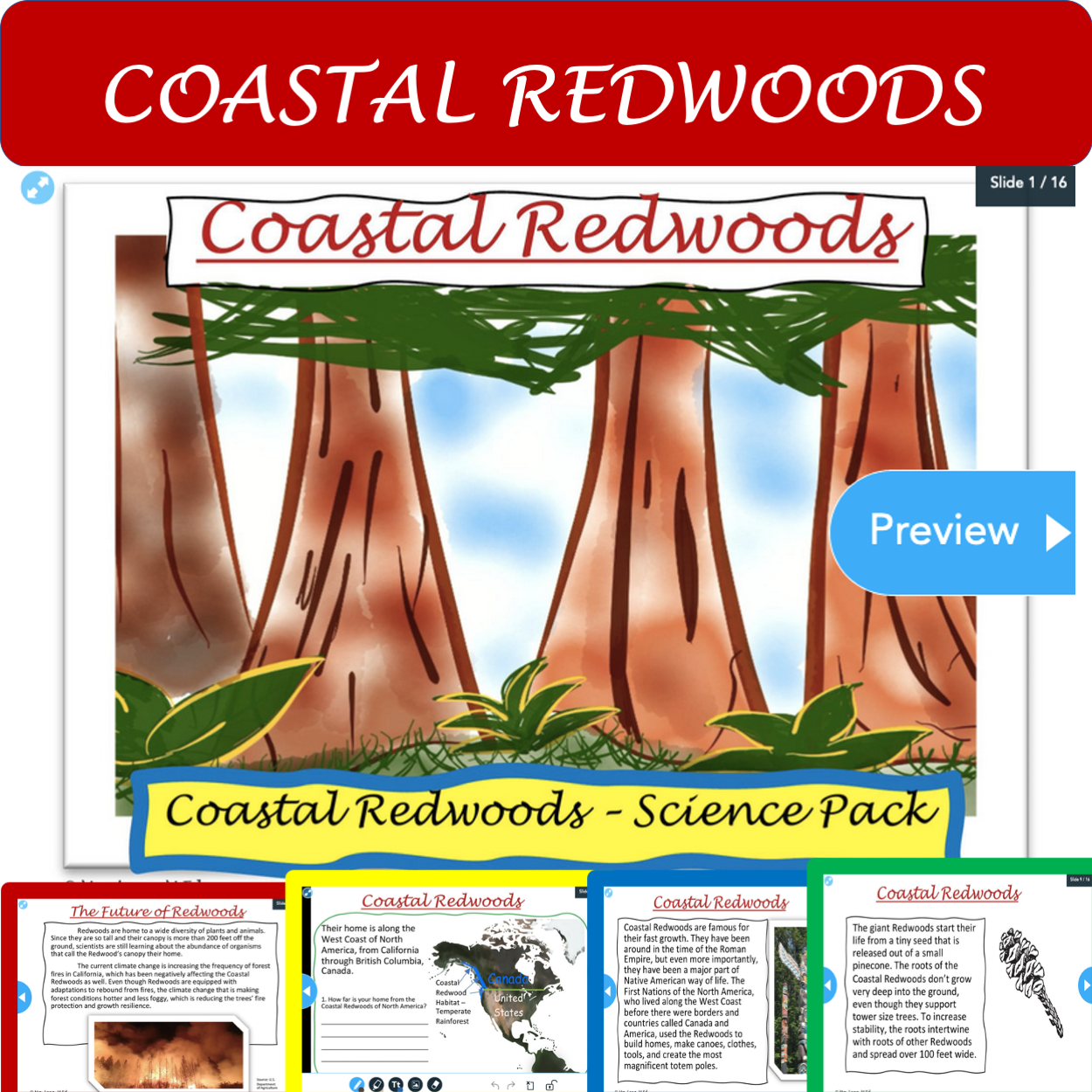 The Coastal Redwood Trees NGSS Lesson Plan | Made By Teachers