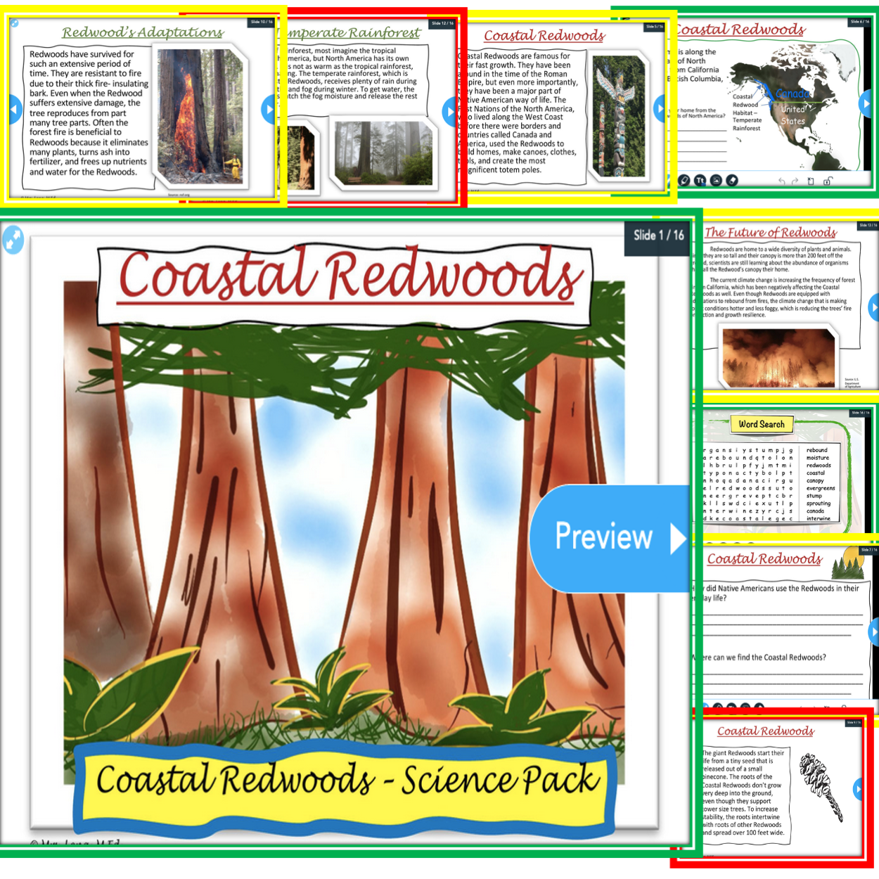The Coastal Redwood Trees NGSS Lesson Plan | Made By Teachers