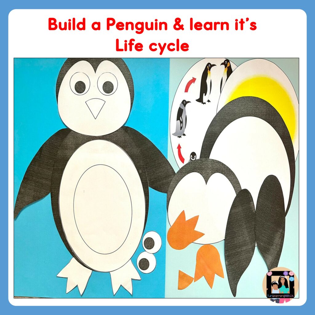 Penguin Life Cycle Activity Polar Animal Activity - Made By Teachers