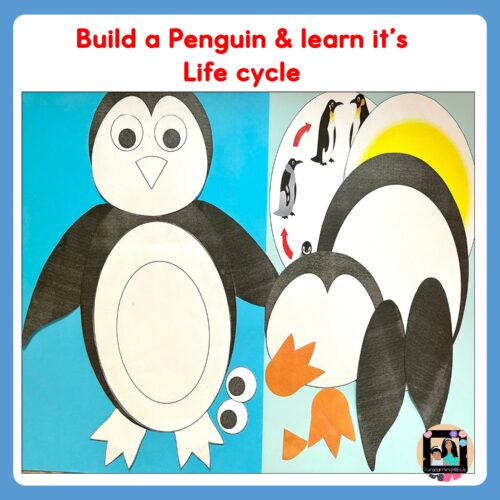 Penguin Life Cycle Activity Polar Animal Activity - Made By Teachers