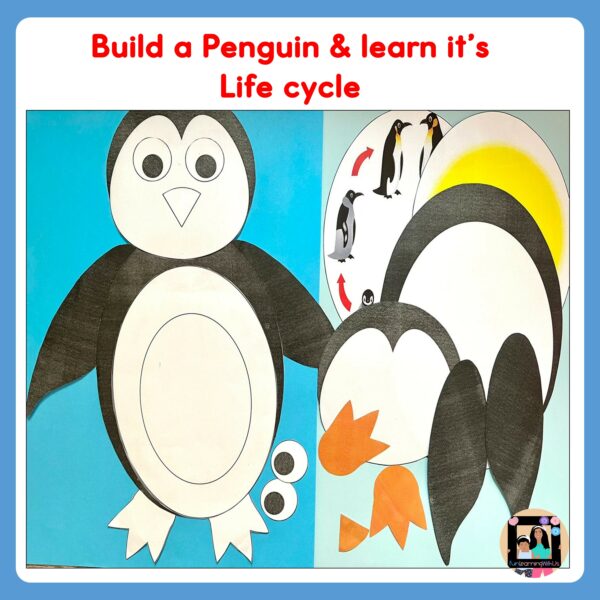Penguin Life Cycle Activity Polar Animal Activity - Made By Teachers