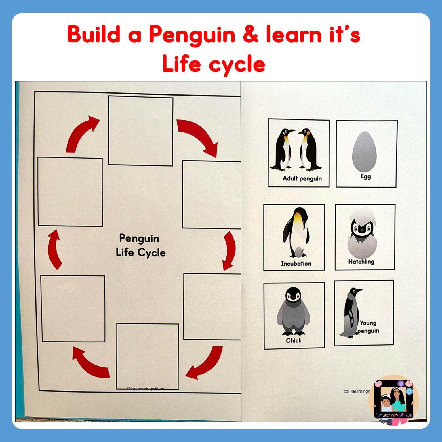 Penguin Life Cycle Activity Polar Animal Activity - Made By Teachers