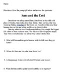 Reading Comprehension Passages Question Worksheets - Made By Teachers