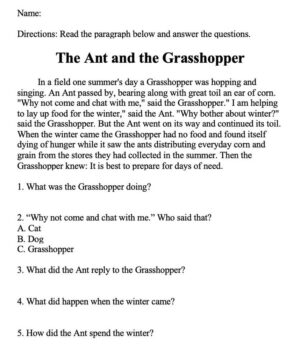 Reading Comprehension Passages Question Worksheets - Made By Teachers