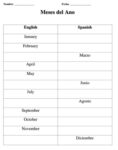 Spanish Worksheets Beginner Vocabulary Word Phrase - Made By Teachers