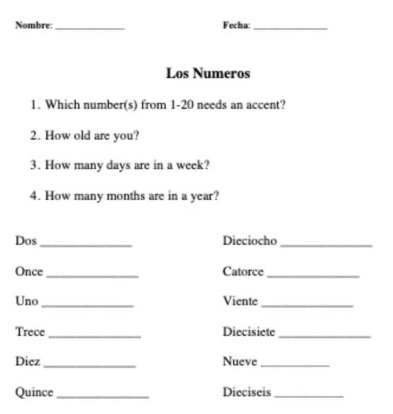 Spanish Worksheets Beginner Vocabulary Word Phrase | Made By Teachers