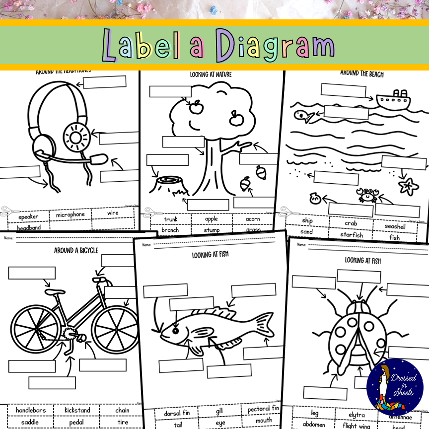 Label a Diagram - Made By Teachers