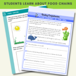 5th Grade Where Does My Food Energy Come From? NGSS | Made By Teachers