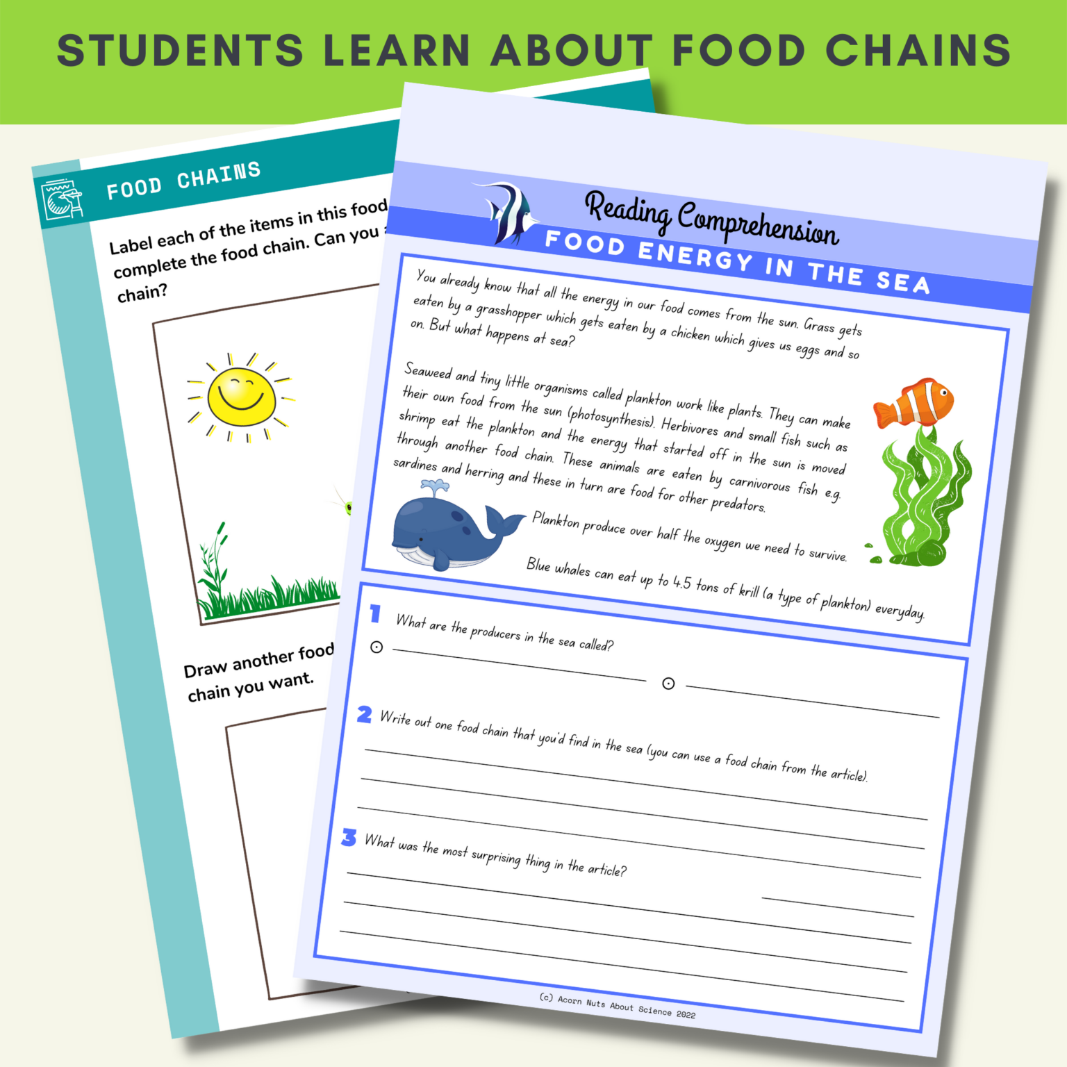 5th Grade Where Does My Food Energy Come From? NGSS | Made By Teachers
