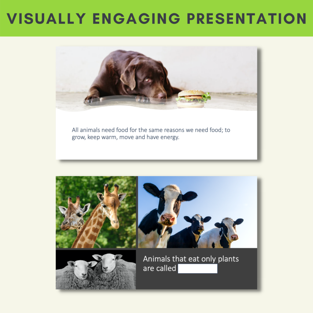 5th Grade Where Does My Food Energy Come From? NGSS | Made By Teachers