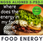 5th Grade Where Does My Food Energy Come From? NGSS | Made By Teachers